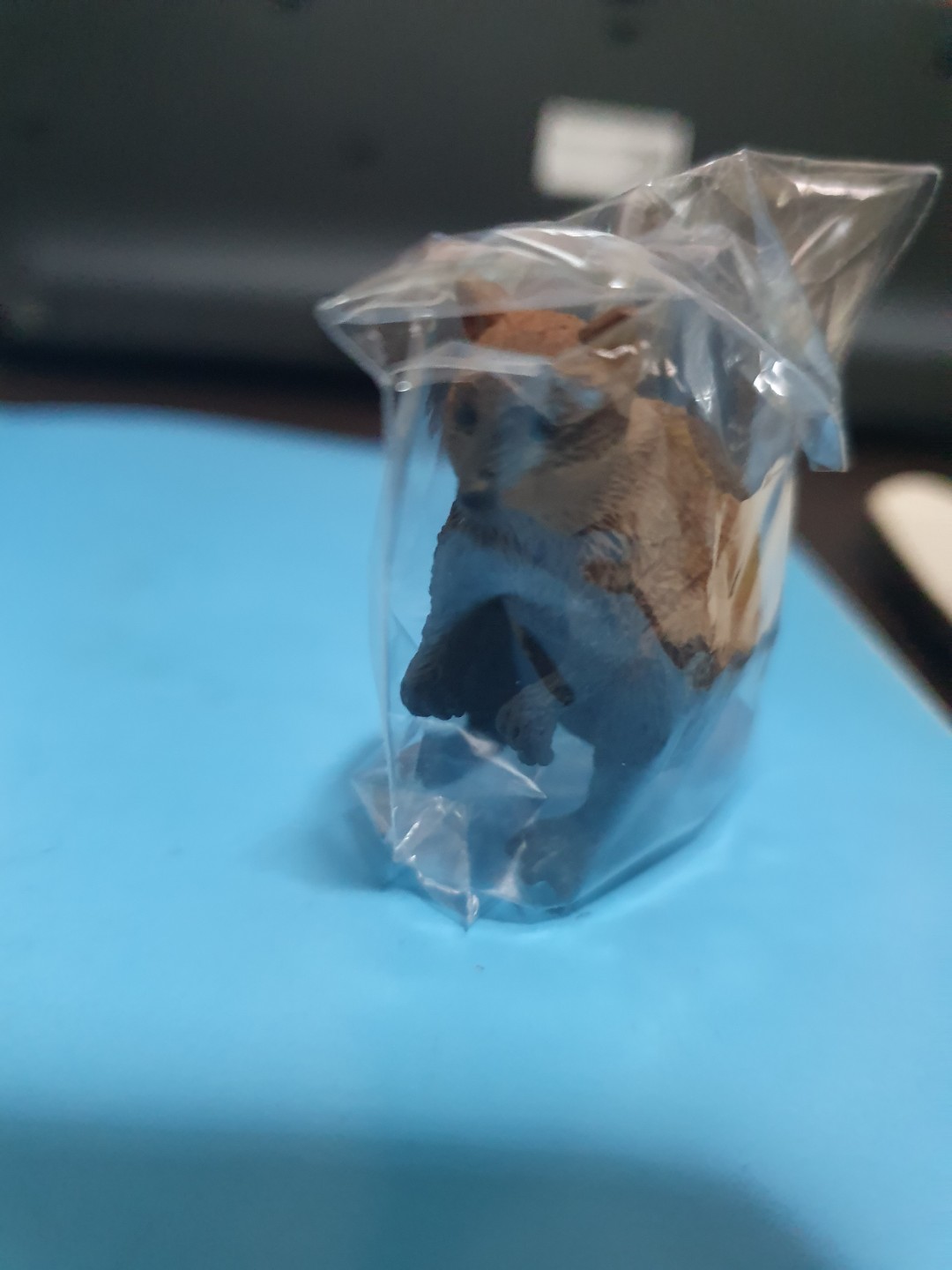Quokka figure, Toys & Games, Bricks & Figurines on Carousell