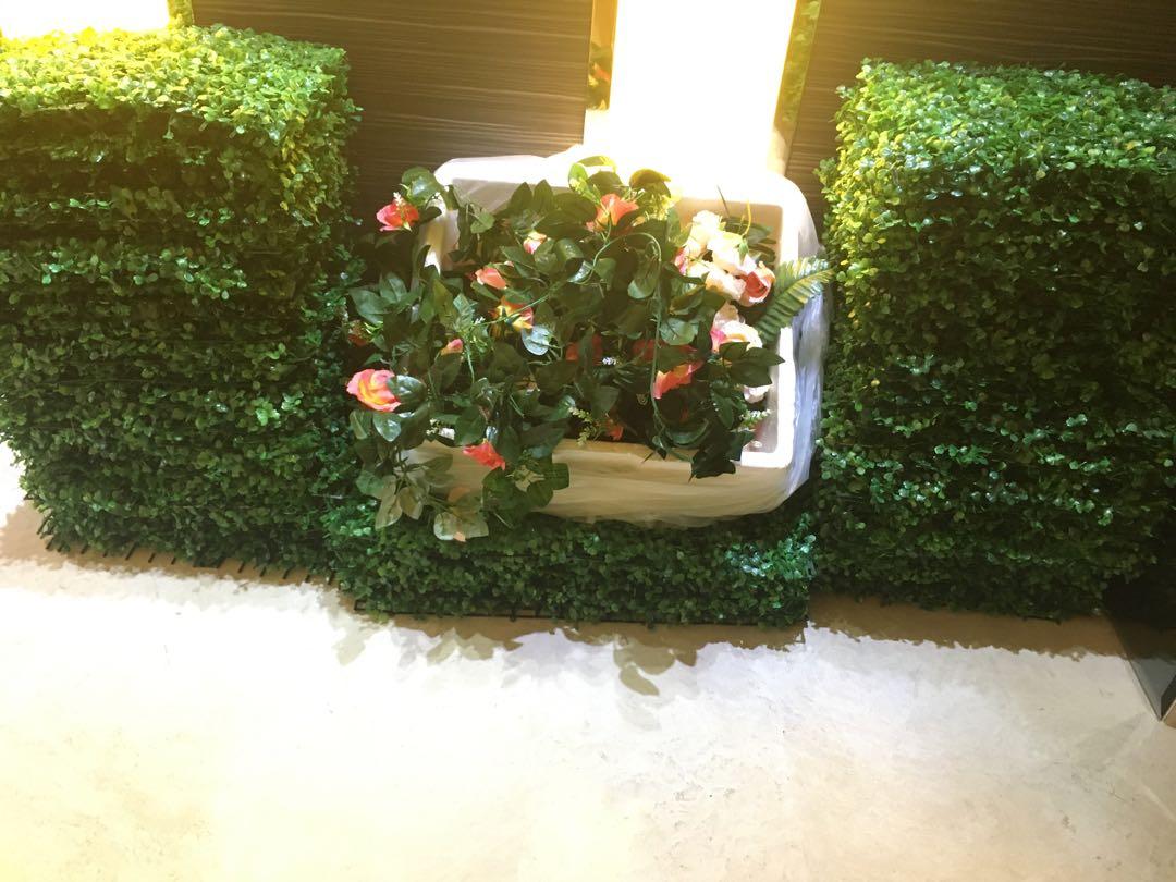 3D Greenery Photo Backdrop, Hobbies & Toys, Stationery & Craft, Art ...