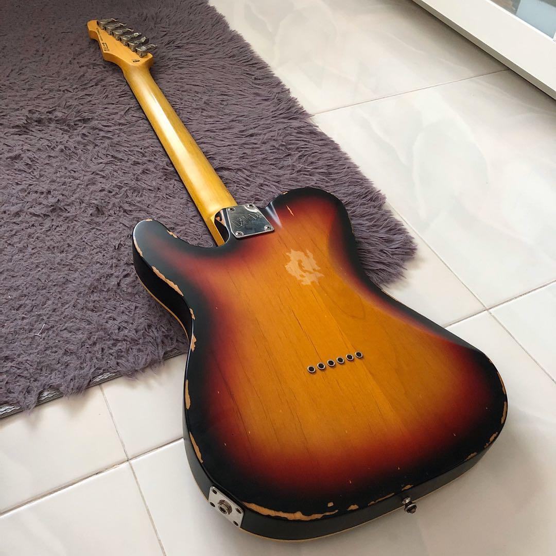 ESP LTD TE-202 Telecaster Relic, Electric Guitar Gibson PRS Fender ...