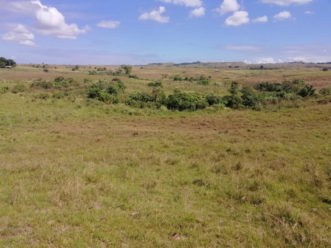 Farm Land, Property, For Sale, Lot on Carousell