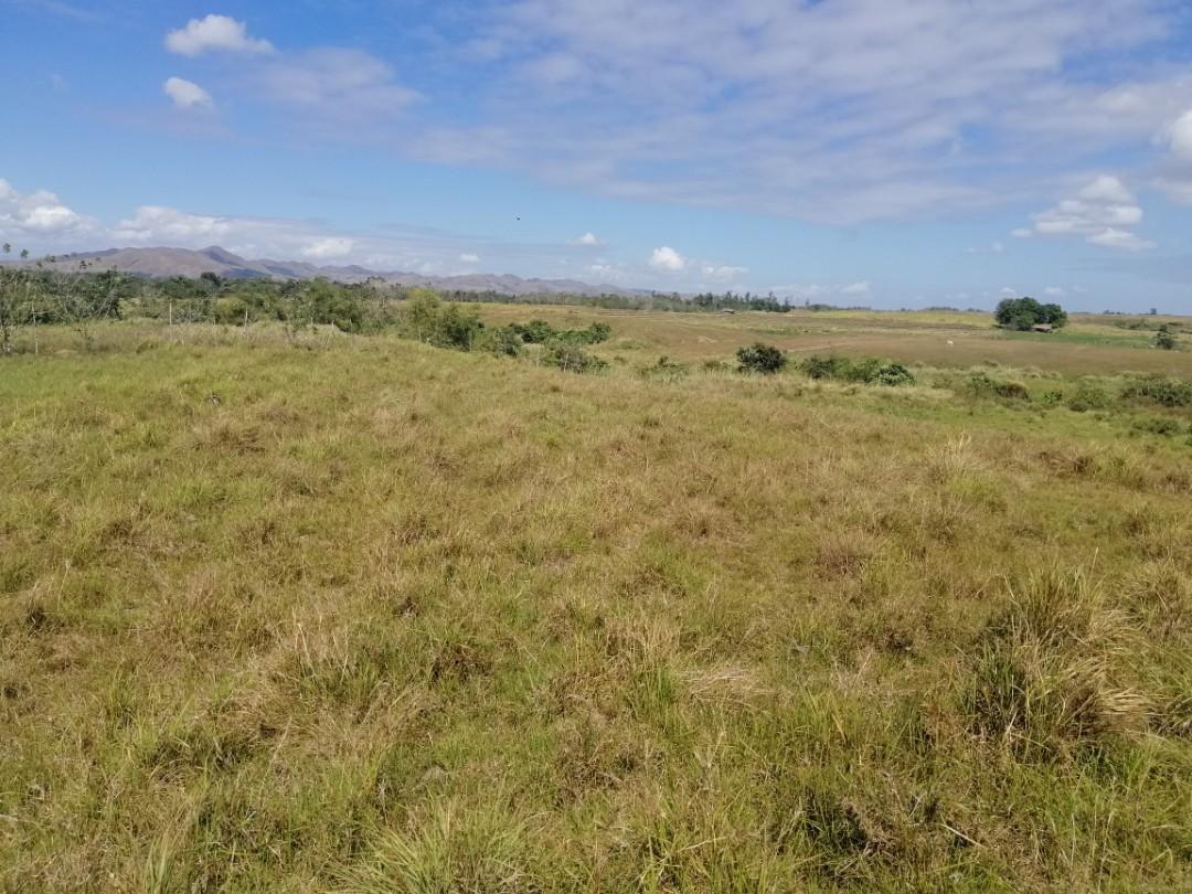 Farm Land, Property, For Sale, Lot on Carousell