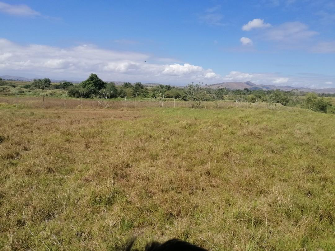 Farm Land, Property, For Sale, Lot on Carousell