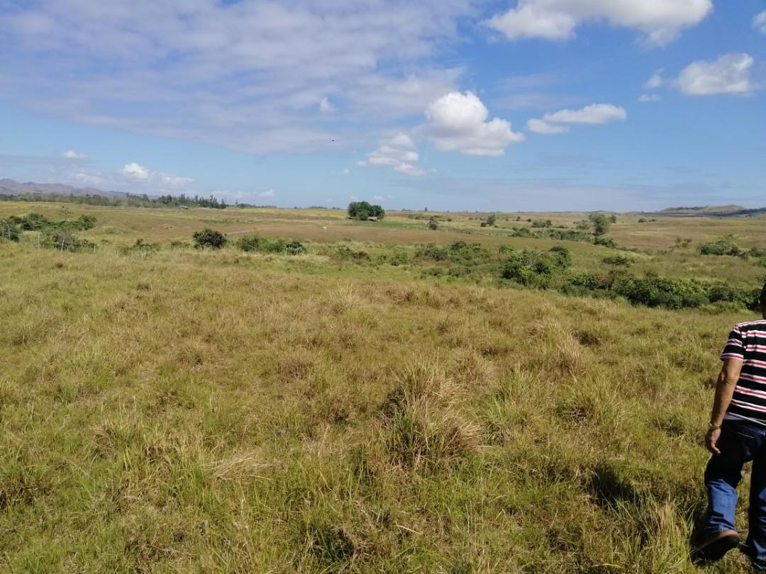 Farm Land, Property, For Sale, Lot on Carousell