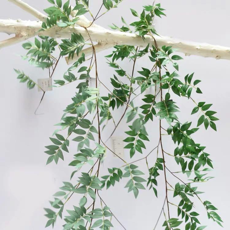 Loquat leaf, Furniture & Home Living, Home Decor, Artificial Plants ...