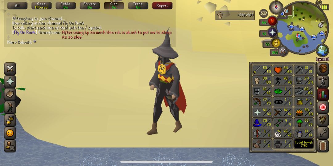 osrs zerker with fire cape done, Video Gaming, Gaming Accessories, Game ...