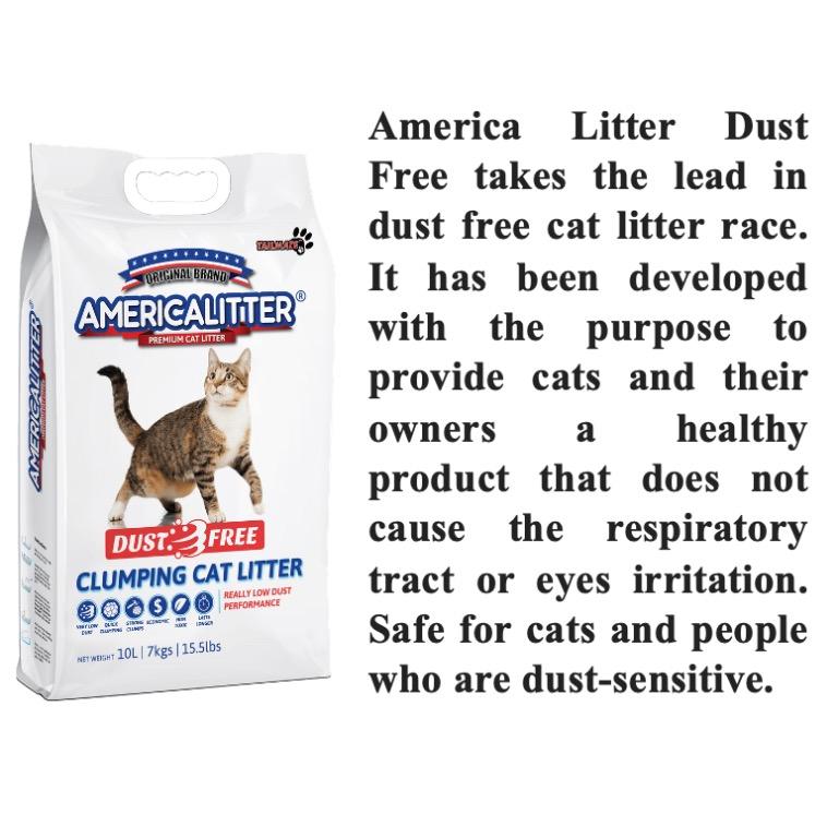 Americalitter Premium Cat Litter 10L, Pet Supplies, For Cats, Cat ...