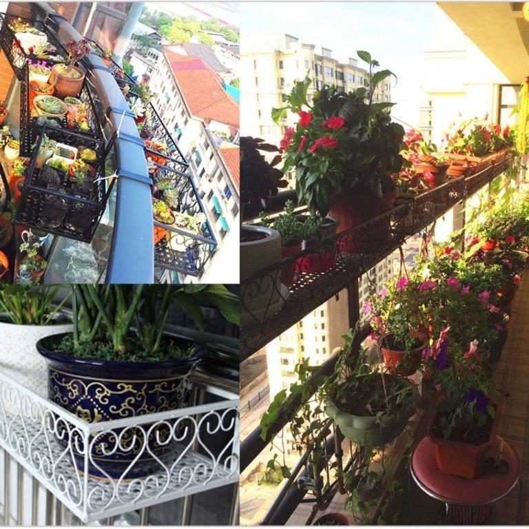 PLANT FLOWER POT BALCONY RAILING SHELF HANGING RACK HOME GARDEN ...