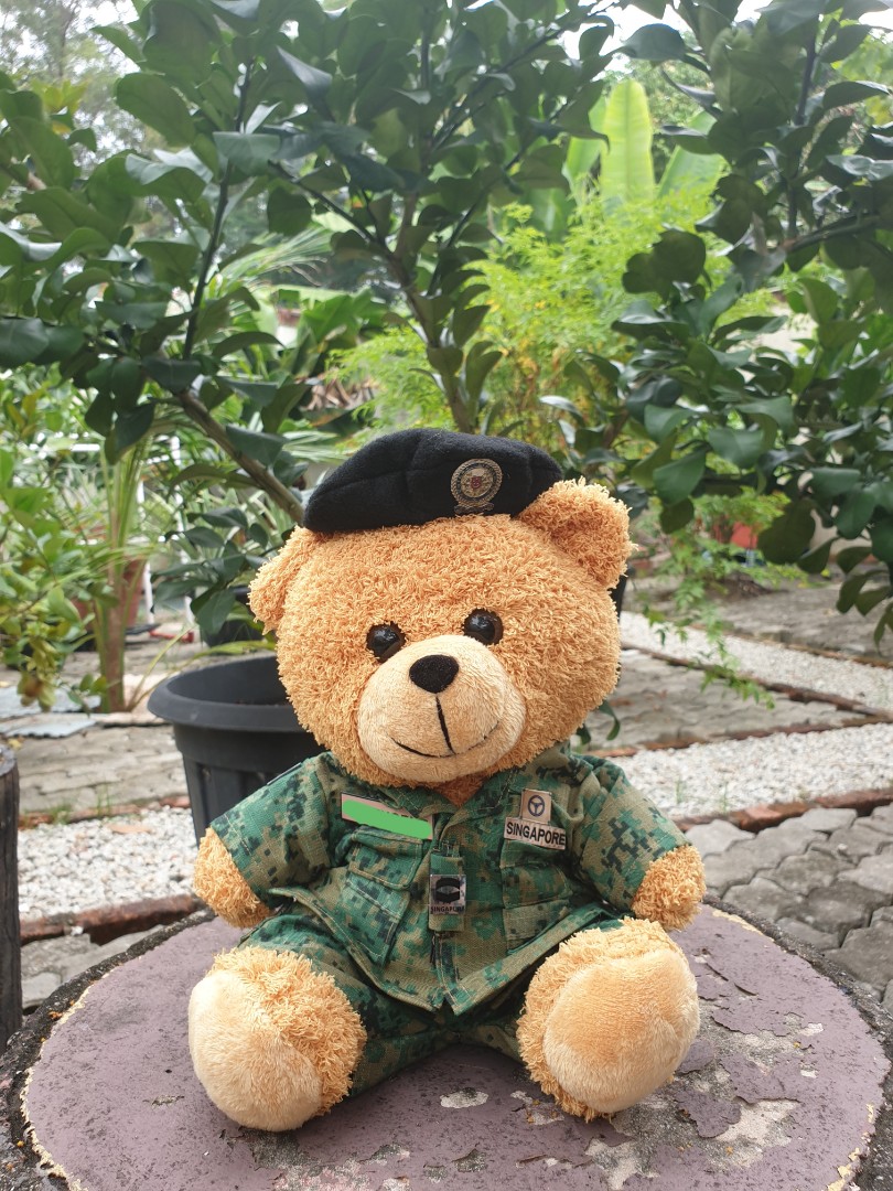 Profession bear with custom uniform, Hobbies & Toys, Stationery & Craft ...