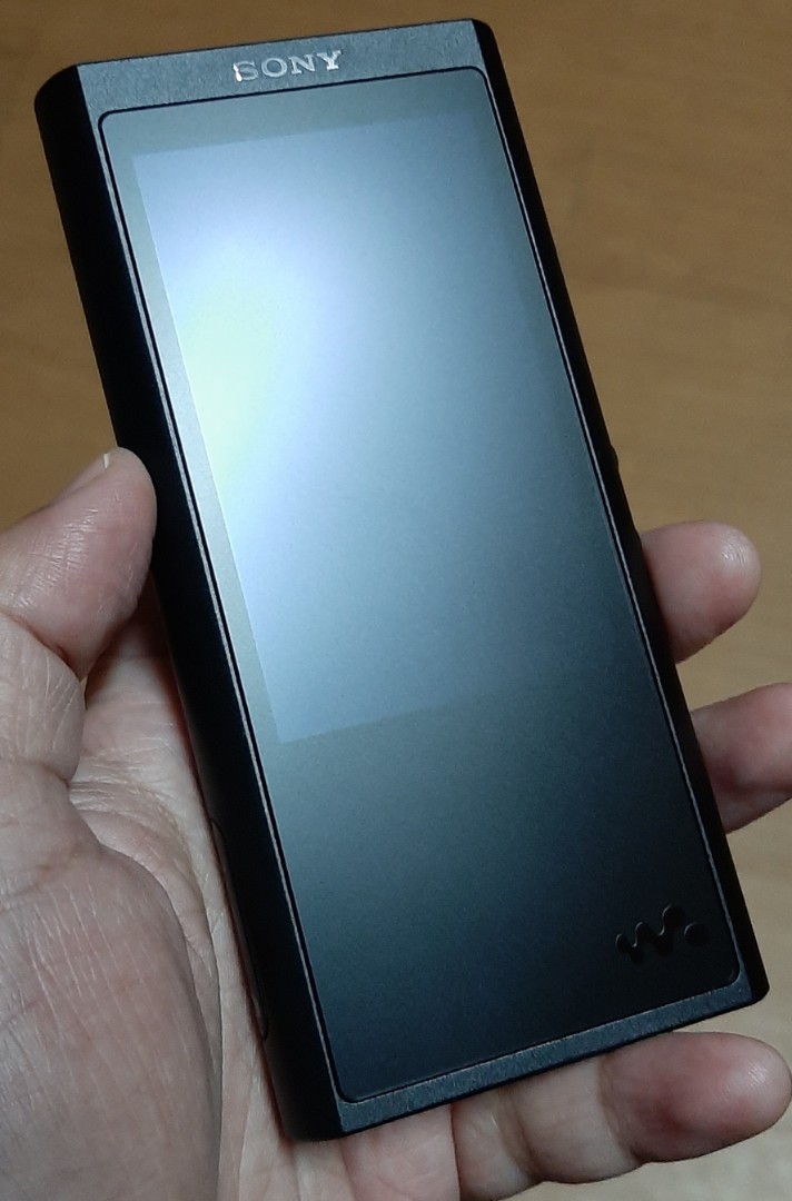 Sony Walkman NW ZX300, Audio, Voice Recorders on Carousell