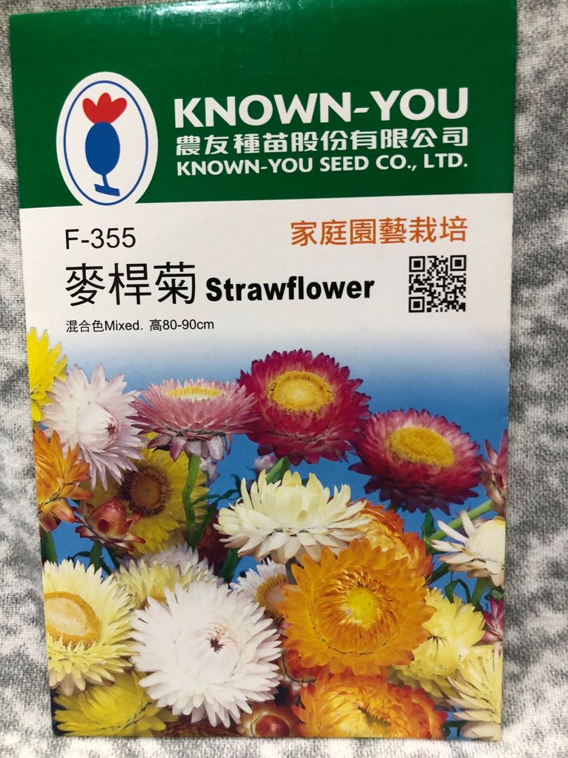 Strawflower seeds, Furniture & Home Living, Gardening, Plants & Seeds ...