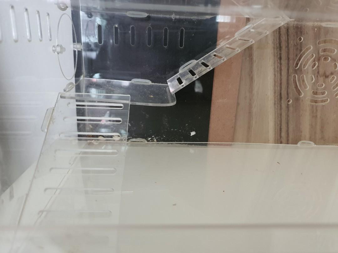 Acrylic Hamster Cage 3 floors with DIY samla bin, Pet Supplies, Homes ...