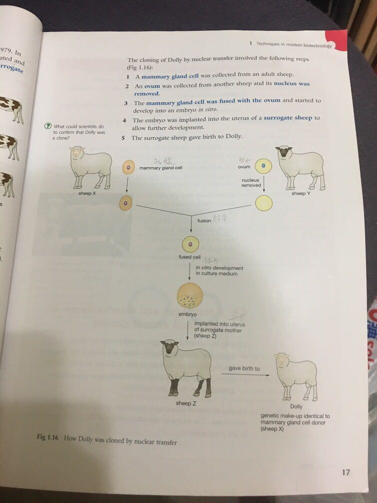 Mastering Biology E4 Biotechnology (second edition), 興趣及遊戲, 書本 & 文具, 教科書 - Carousell