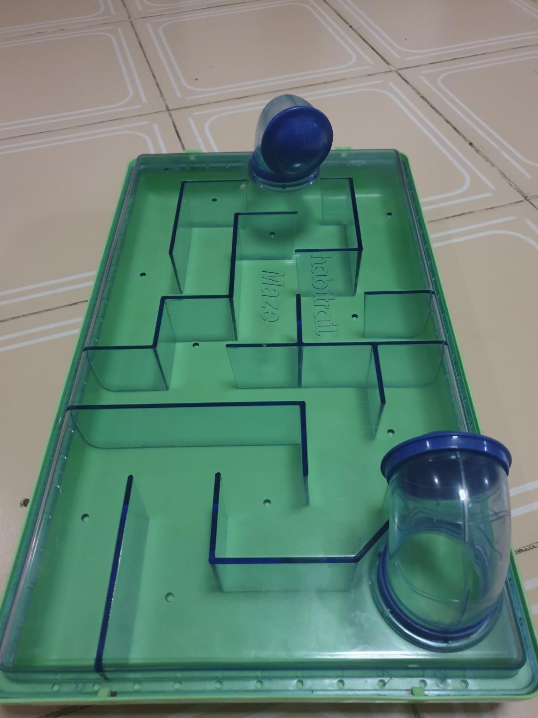 Hamster Maze, Pet Supplies, Homes & Other Pet Accessories on Carousell