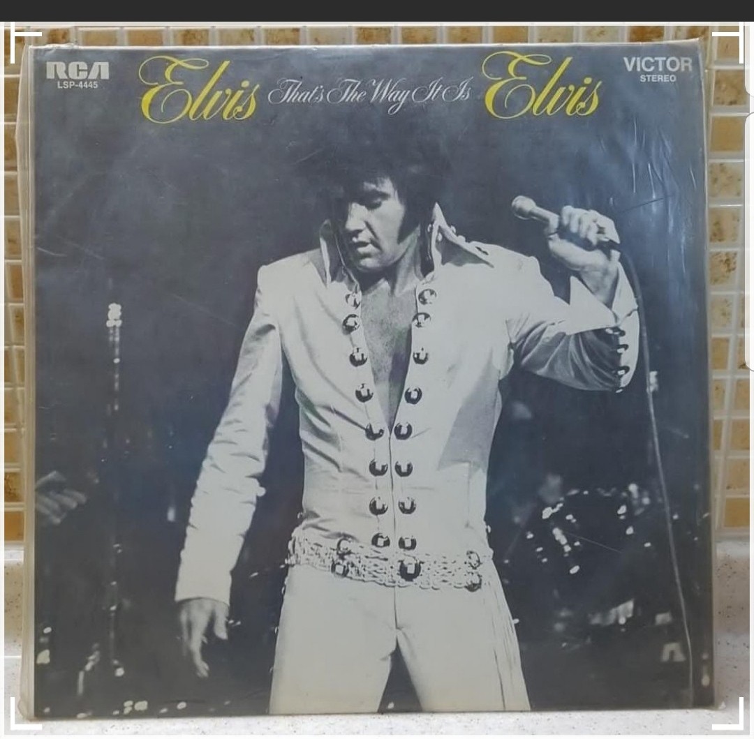 Vinyl Records (Elvis, Bee Gees, Everly Brothers, Simon and Garfunkel ...