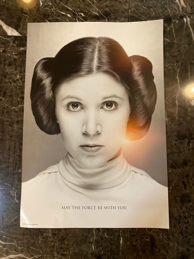 Princess Leah Poster, Everything Else on Carousell