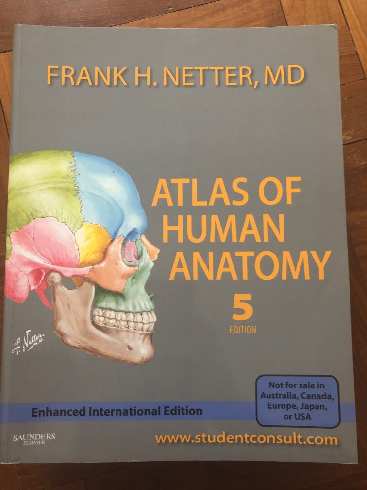 Frank Netter atlas of human anatomy, Hobbies & Toys, Books & Magazines ...