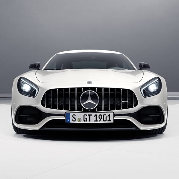 Latest Most Models AMG GT Style Panamericana Bumper Grille Grill ...