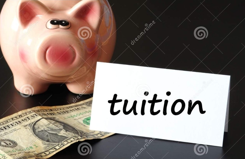 Coding Tuition and Assignment help $40/hour, Learning & Enrichment ...