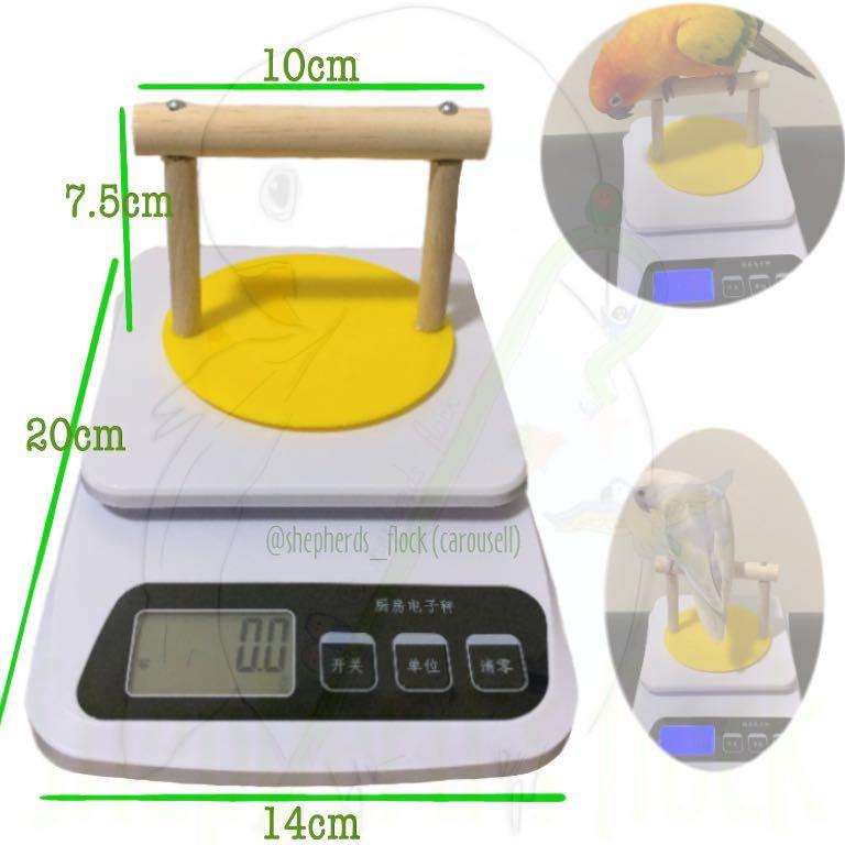 Weighing Scale with Perch, Pet Supplies, Homes & Other Pet Accessories ...
