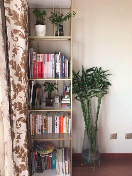 Contemporary Slim Display shelf - Jacob, Furniture & Home Living ...