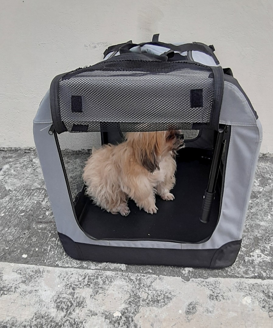 PET TRAVEL CARRIER, Pet Supplies, Homes & Other Pet Accessories on ...