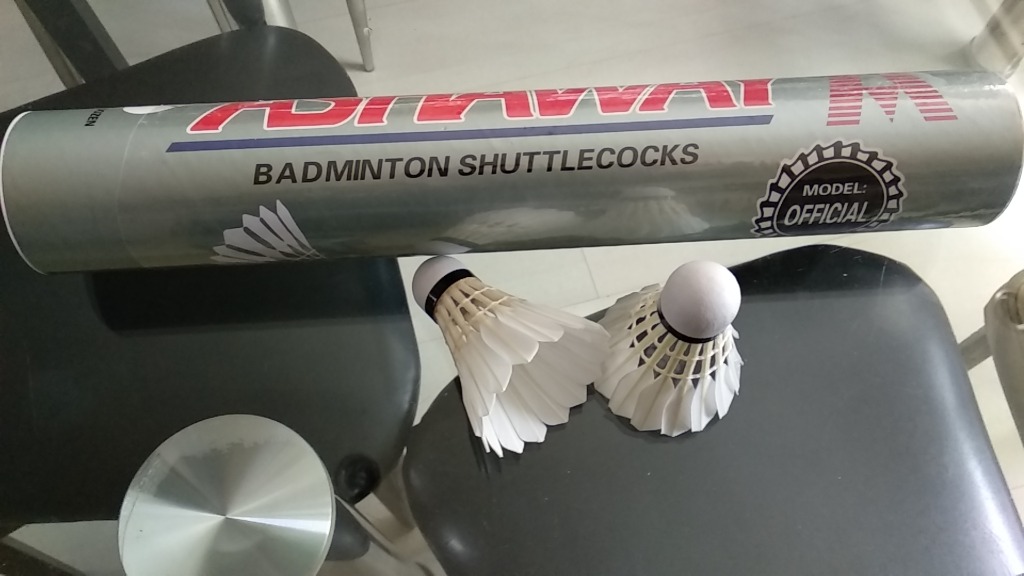 Ashaway Official shuttlecock, Sports Equipment, Sports & Games, Racket ...