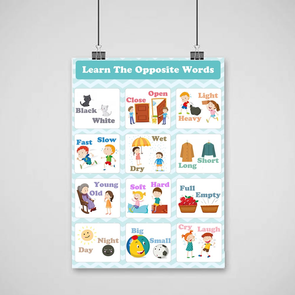 Education Poster - Learn the Opposite, Hobbies & Toys, Stationery ...