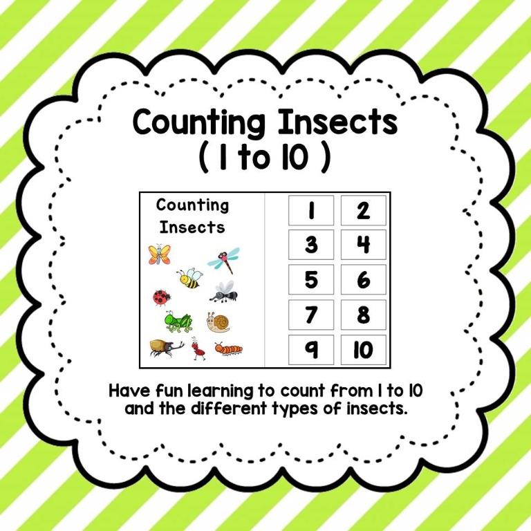 Interactive Book: "Counting Insects 1 to 10" (Learning Numbers ...