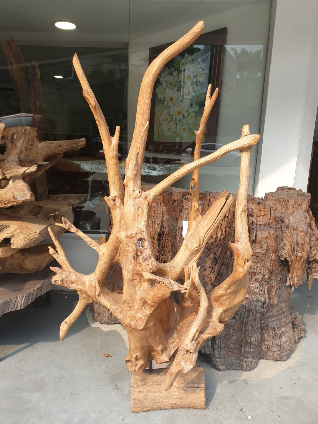 Teak Wood Decor, Furniture & Home Living, Home Decor, Vases ...