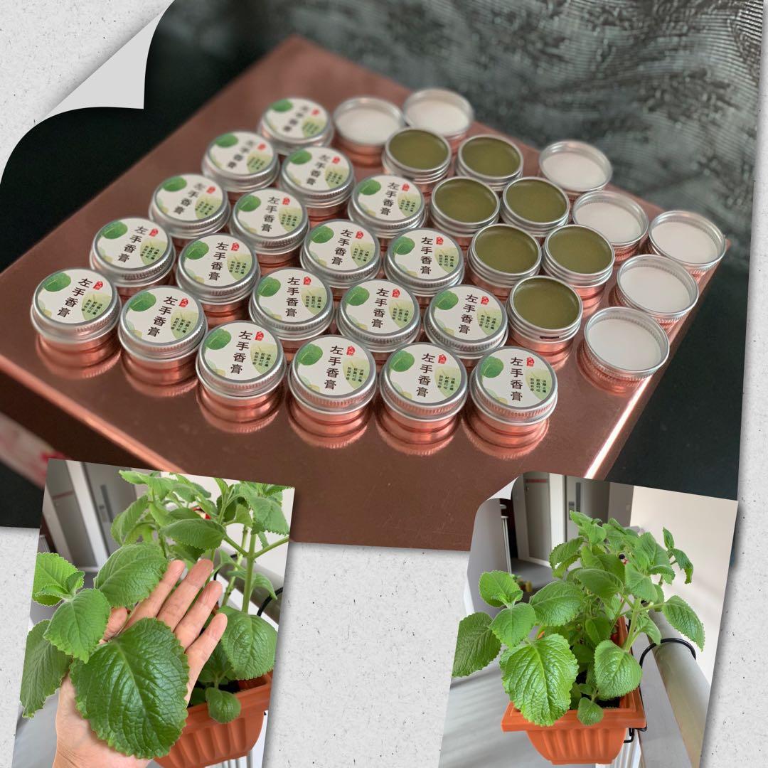 Natural Indian Borage Cream, Health & Nutrition, Health Supplements ...