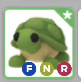 Roblox ADOPT ME! NFR TURTLE, Video Gaming, Gaming Accessories, Game ...