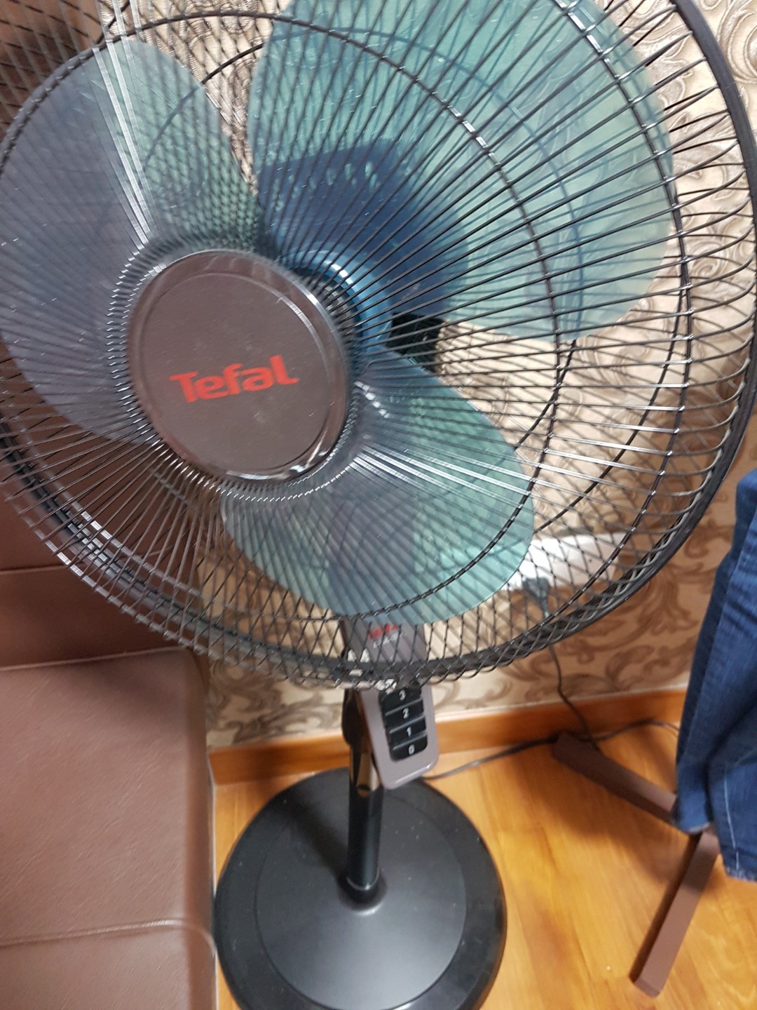 Tefal Standing Fan, Furniture & Home Living, Lighting & Fans, Fans on ...