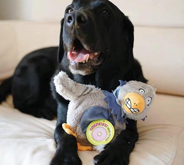 (PO) SQUEAKY OMG SURPRISE PIGEON COW PLUSH PET DOG CAT RUBBER TOY WITH ...