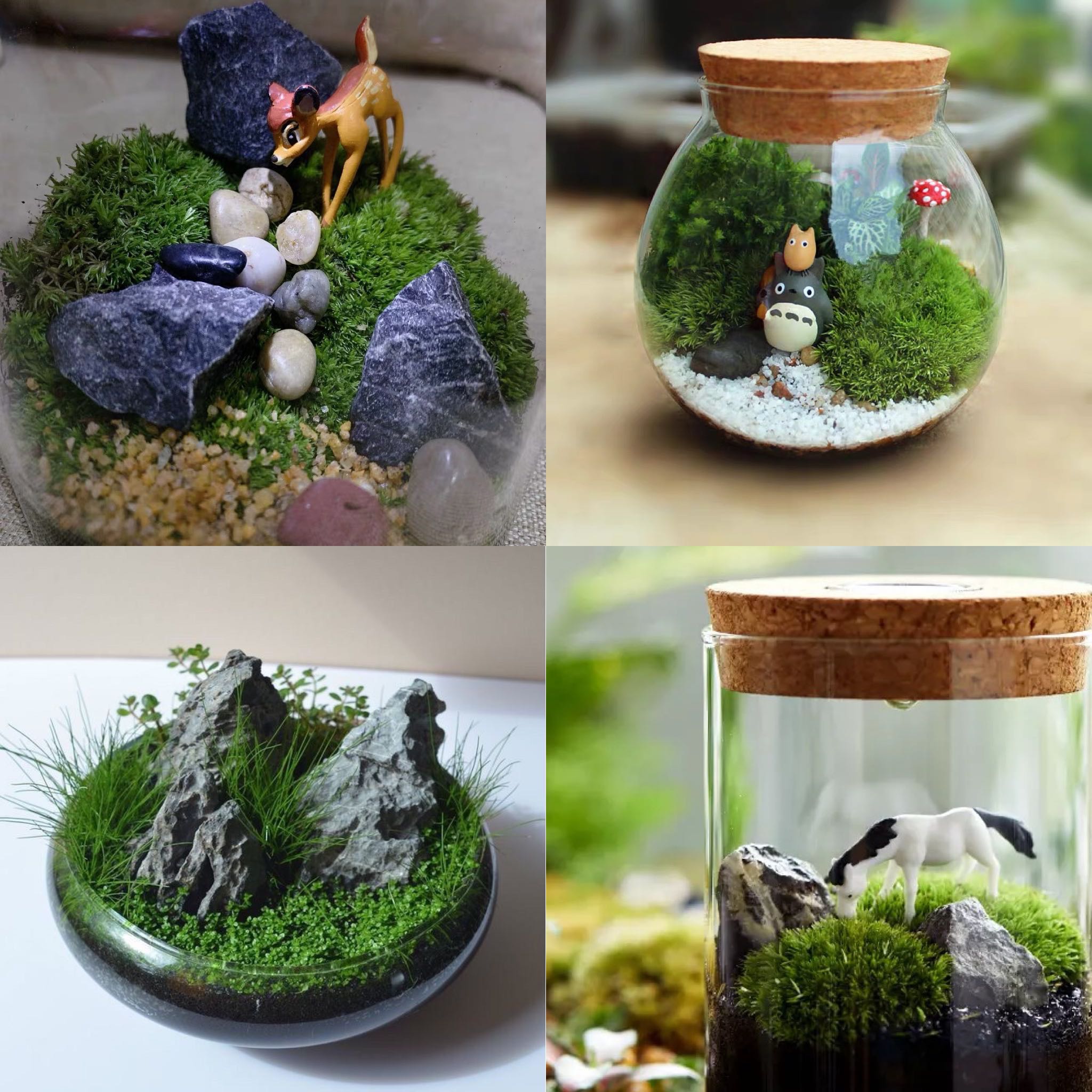 2024 Terrarium Series 16: Simply Moss| Live Moss Terrarium, Furniture ...