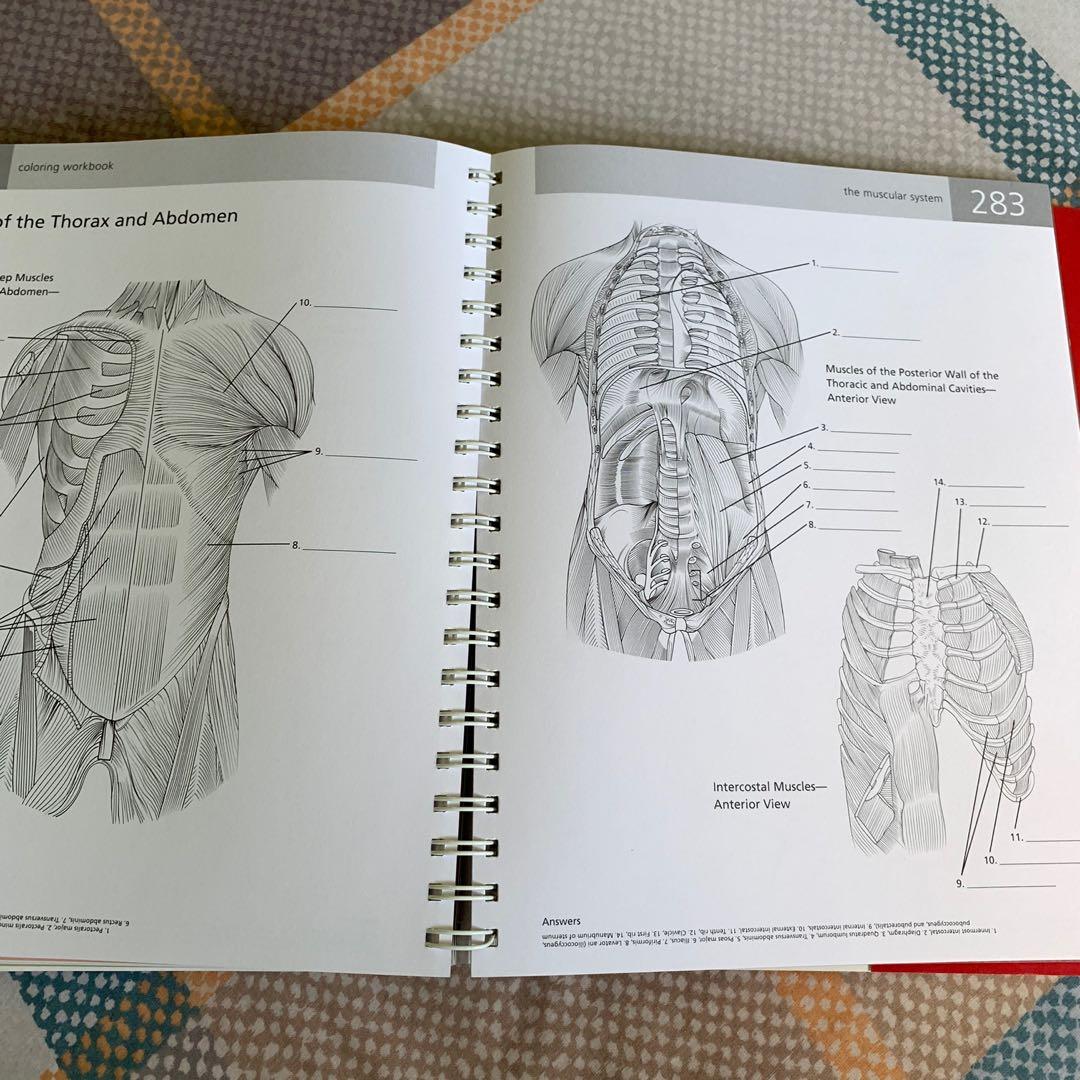ANATOMY STUDENT SELF TEST, Hobbies & Toys, Books & Magazines, Children ...