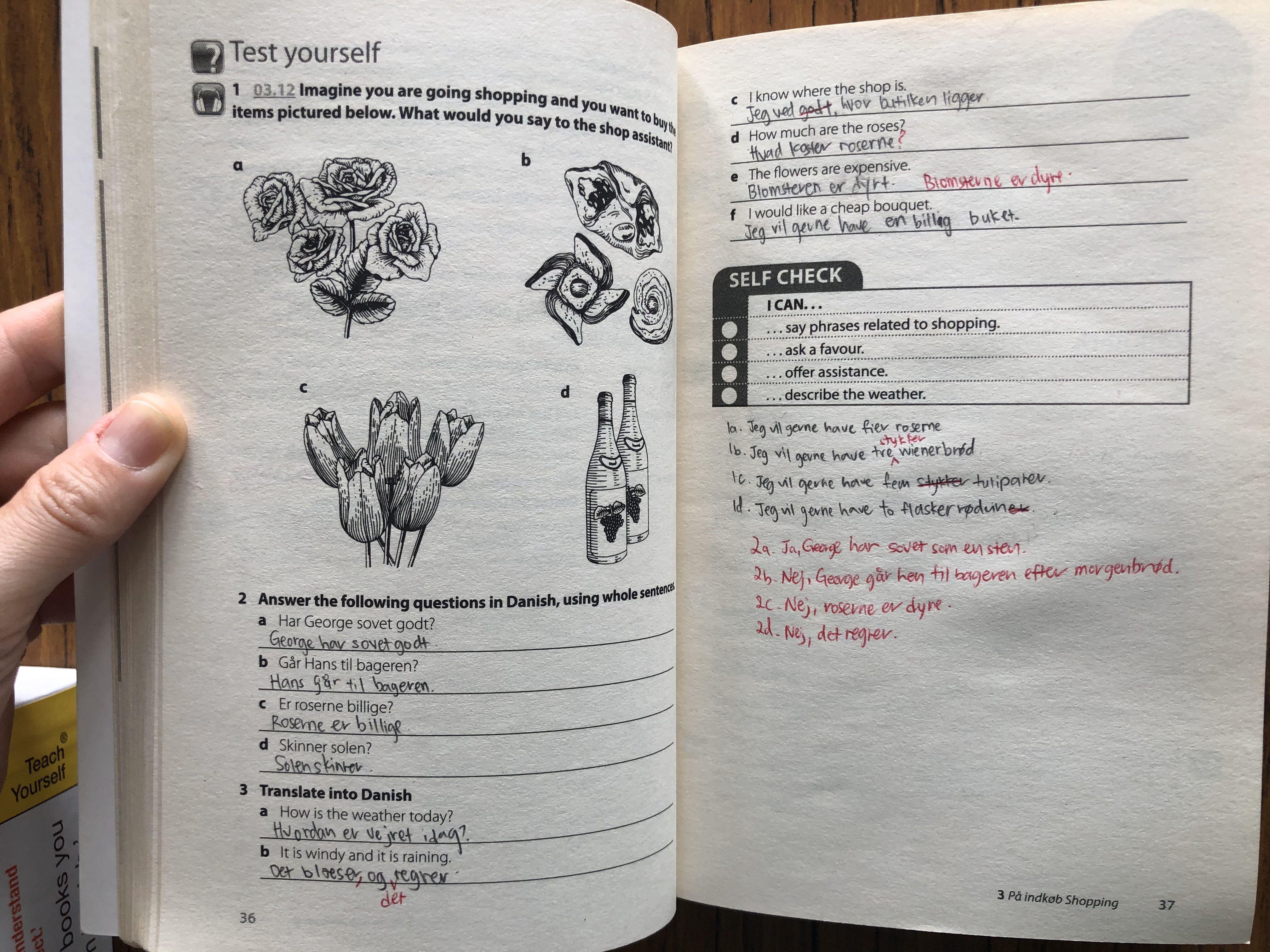 Complete Danish - beginner to intermediate course, Hobbies & Toys ...