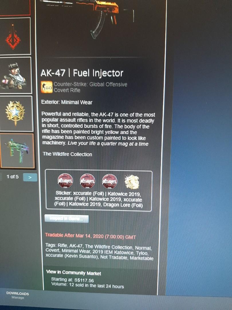 CSGO Ak-47 Fuel Injector, Toys & Games, Video Gaming, In-Game Products ...