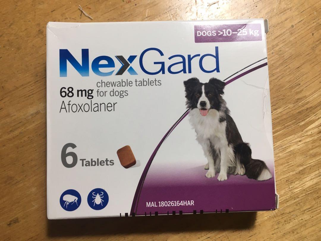 Nexgard for dog 10-25kg, Pet Supplies, Pet Food on Carousell