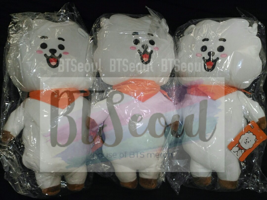 ONHAND BT21 RJ DOLL x WATSONS OFFICIAL LINEFRIENDS 4 PIECES ONLY ...