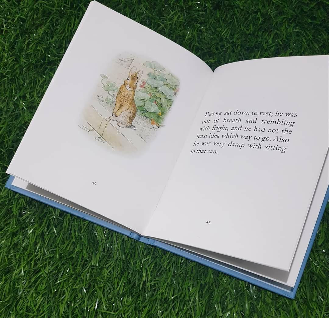 Peter Rabbit Book Series, Hobbies & Toys, Books & Magazines, Children's ...