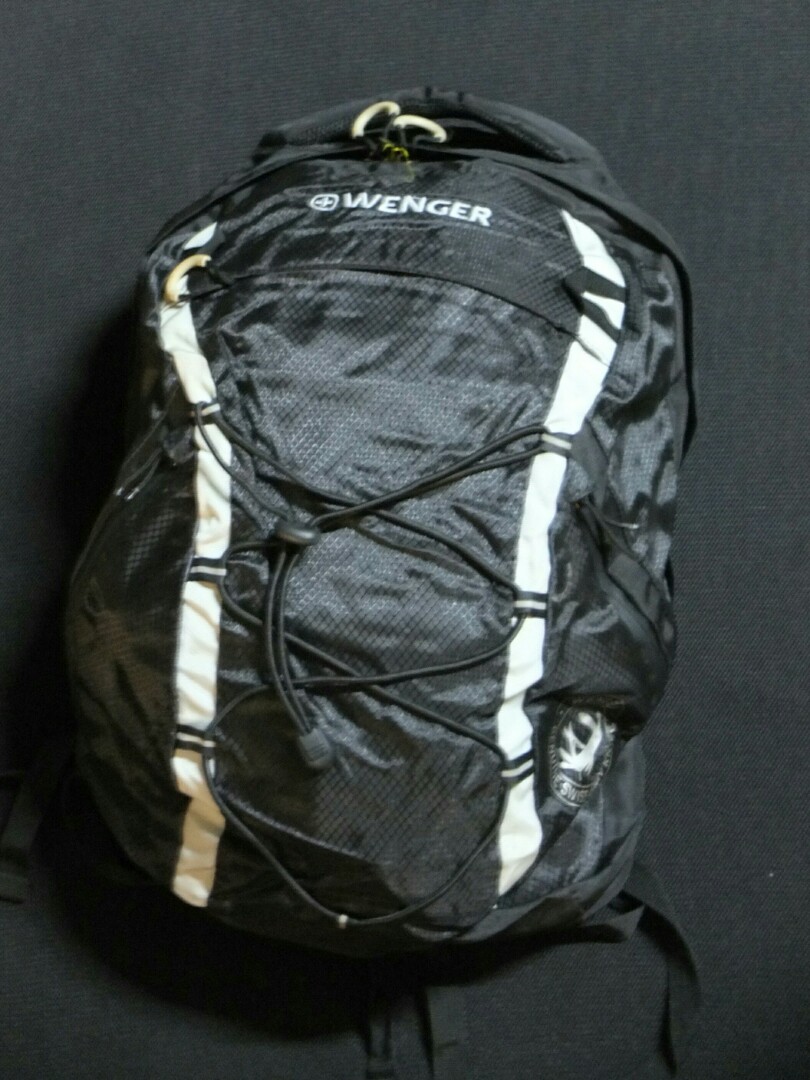 Wenger Original Daypack, Men's Fashion, Bags, Backpacks on Carousell