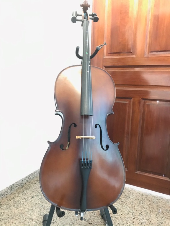 Cello Synwin SVC441001 full size, Hobbies & Toys, Music & Media ...