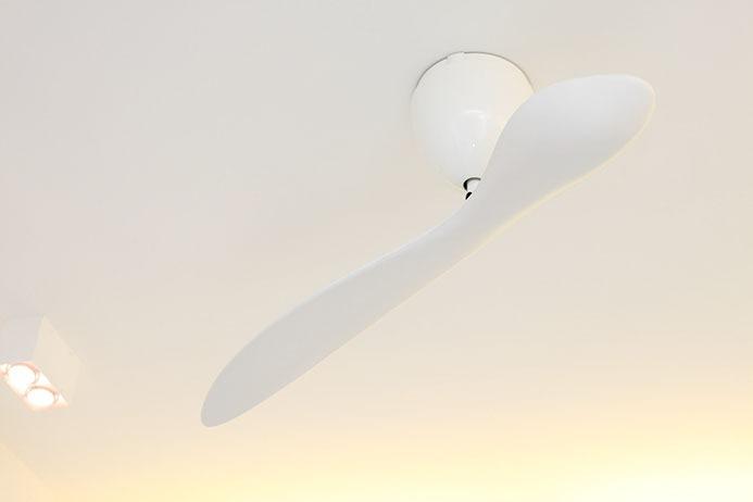 iConic Sycamore Ceiling Fan 天花吊扇 風扇( 附搖控), 傢俬＆家居, 園藝, 軟管和澆水裝置 - Carousell