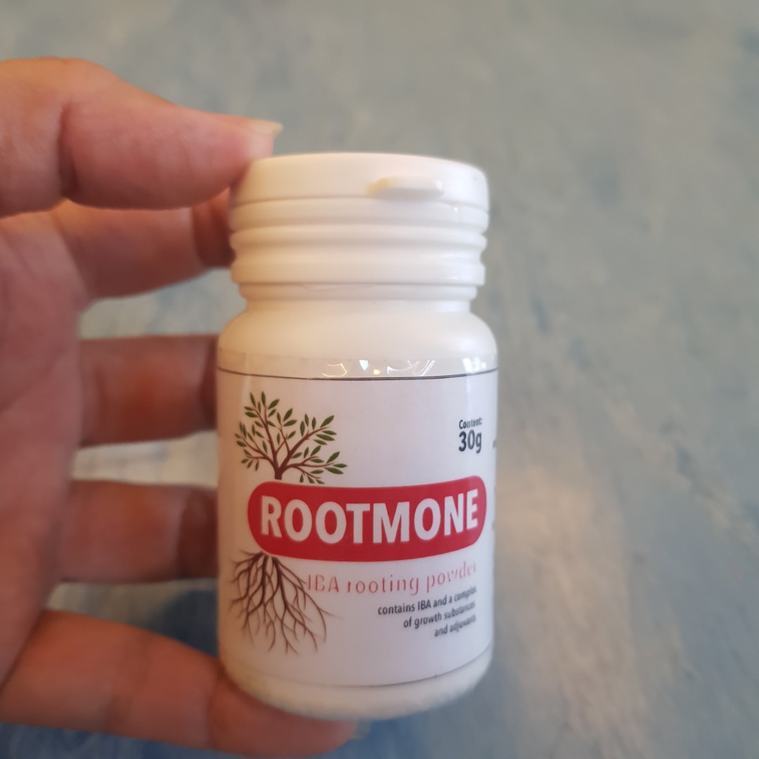 Rootmone 30g (IBA Rooting Hormone for rooting plants), Furniture & Home ...