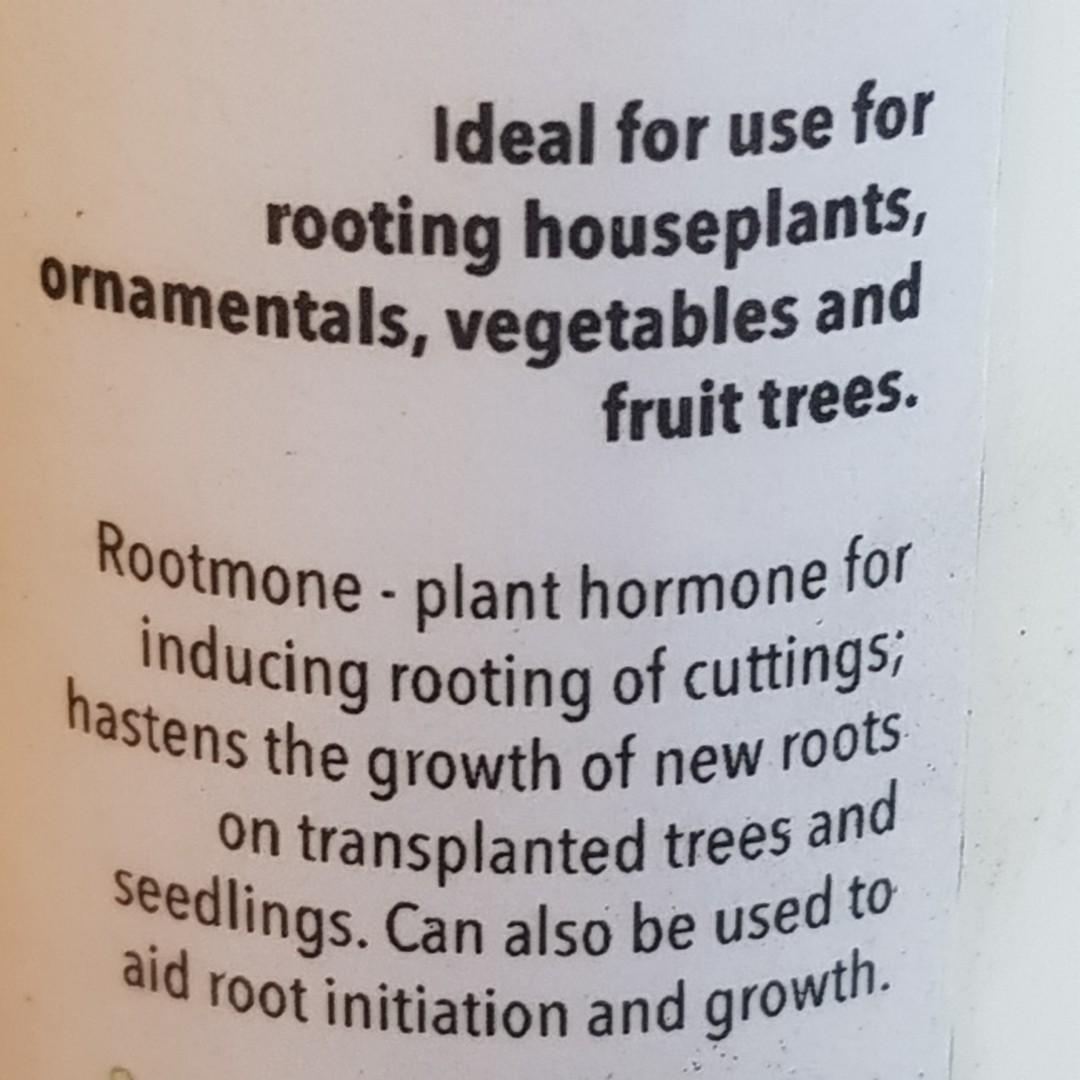 Rootmone 30g (IBA Rooting Hormone for rooting plants), Furniture & Home ...