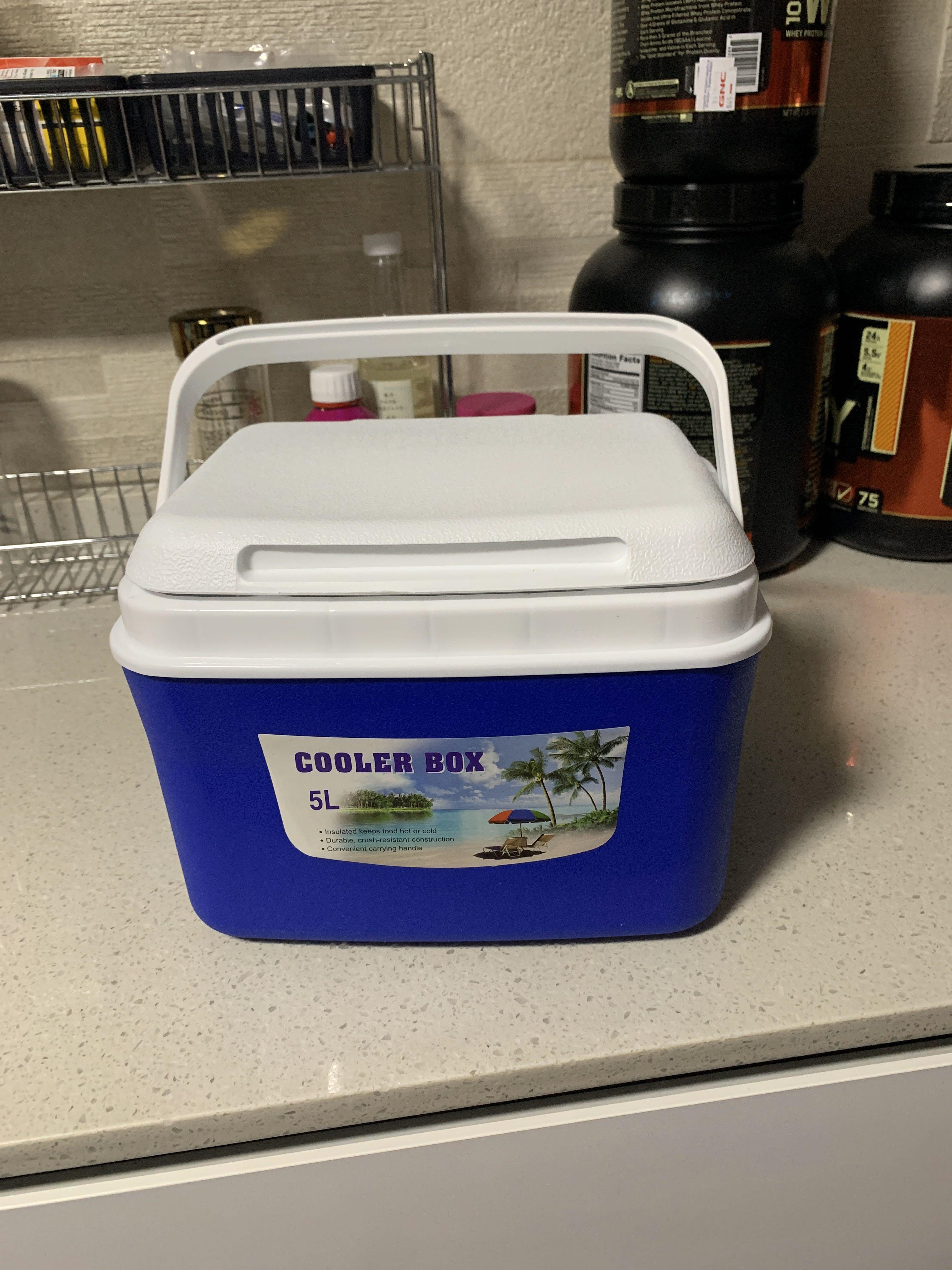 5L Ice box Cooler, Furniture & Home Living, Kitchenware & Tableware ...