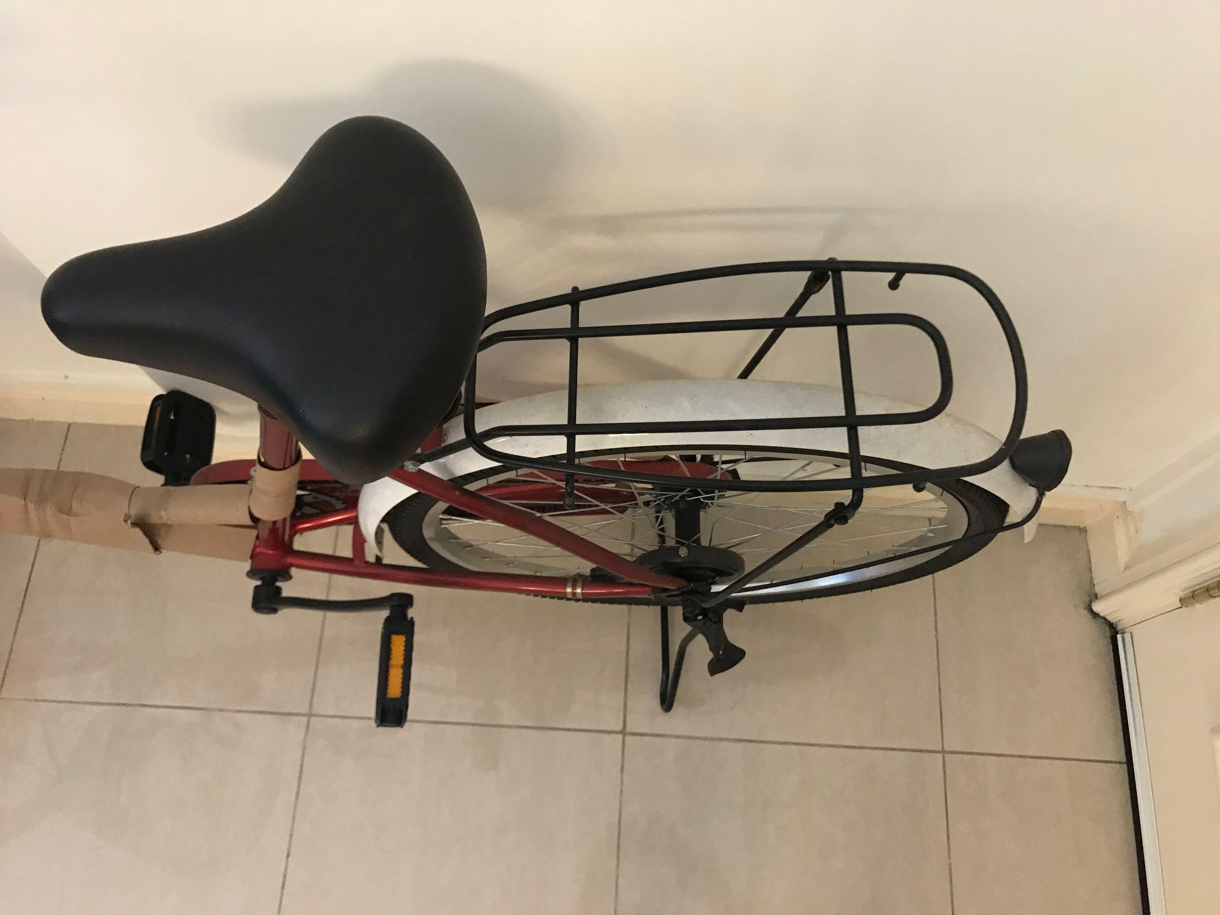 [New] Piyo Piyo Bicycle, Sports Equipment, Bicycles & Parts, Bicycles ...