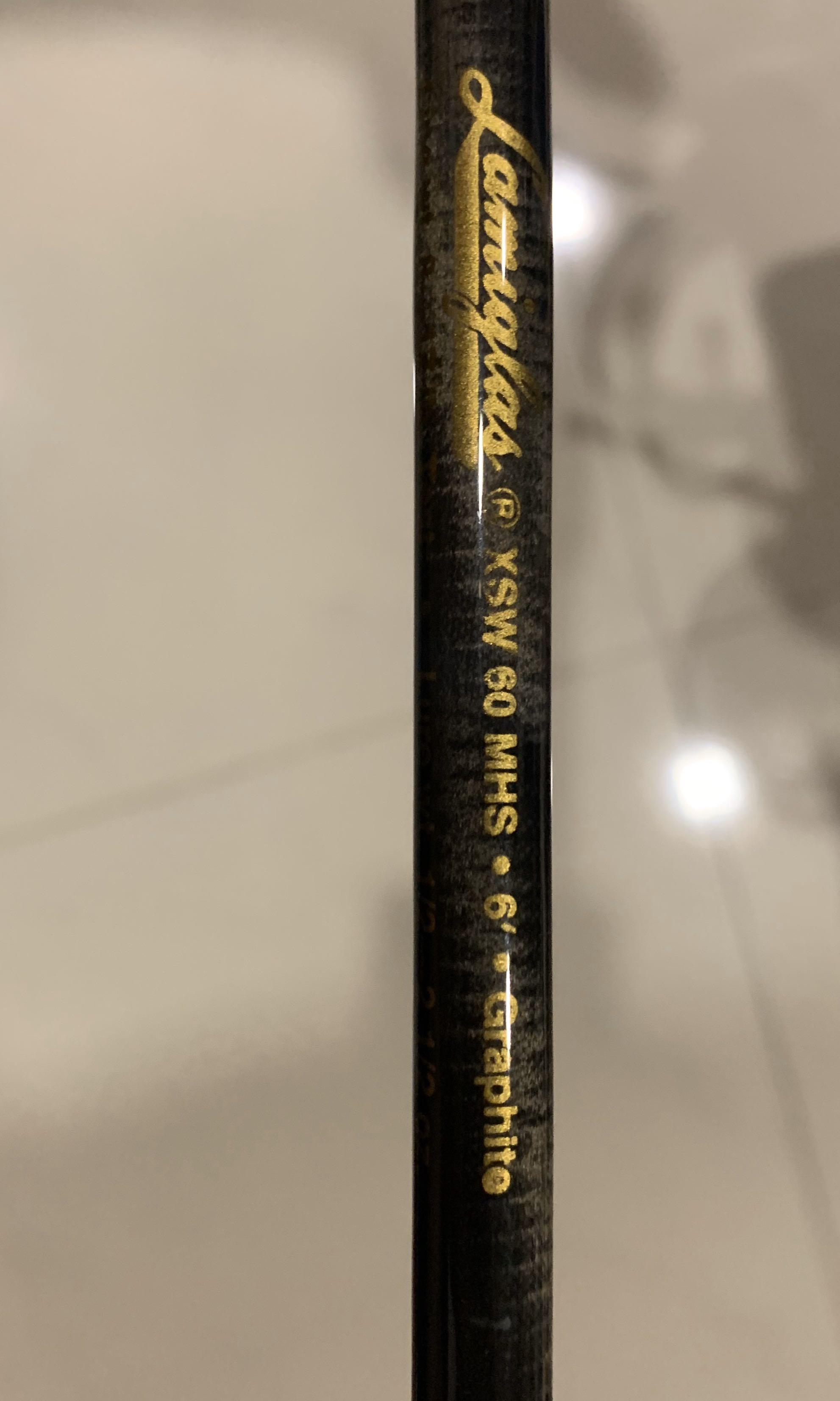 Lamiglas spinning rod, Sports Equipment, Fishing on Carousell