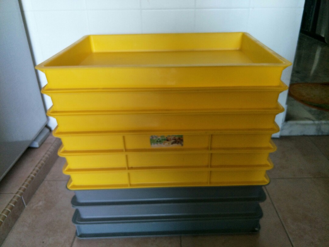 Large plastic trays, Furniture & Home Living, Kitchenware & Tableware ...