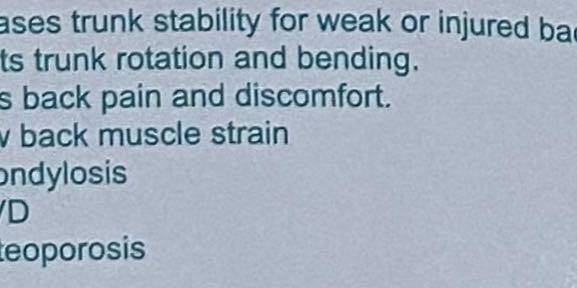 Oppo Sacro Lumbar Support 2264 Brand New, Health & Nutrition, Braces ...